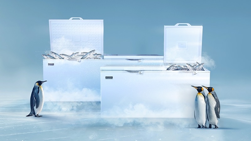 MODENA Perkenalkan Chest Freezer Terbaru, Solusi Andal Berbagai Sektor ...