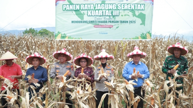 Kapolres Samosir AKBP Rina Frillya Panen Raya Jagung Bersama Petani di ...
